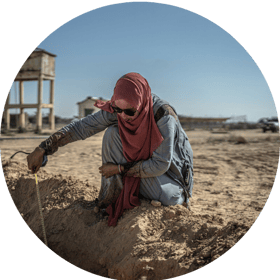 Descarga gratis el cuento La ciudad de las ranas invisibles