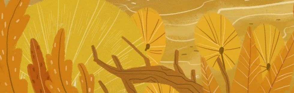 Descarga gratis el cuento La ciudad de las ranas invisibles